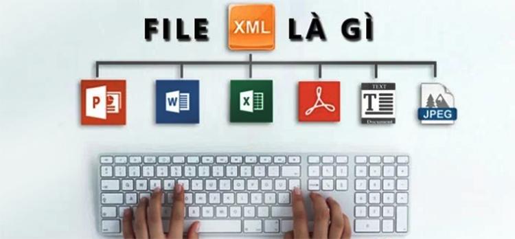 XML là gì? Tìm hiểu tổng quan về XML